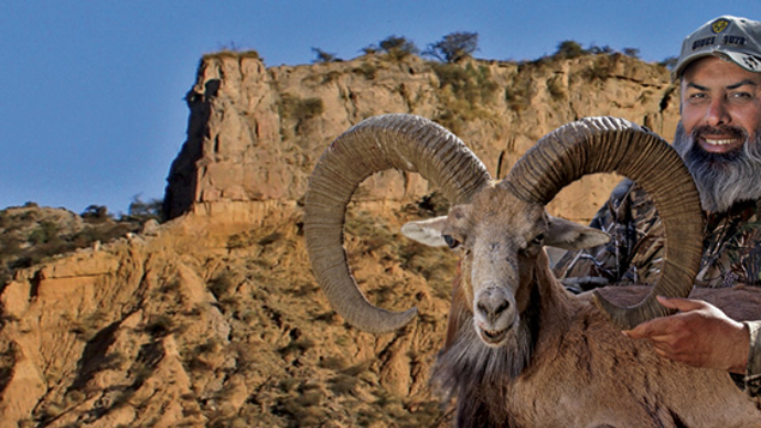 HUNTER’S PARADISE PUNJAB URIAL – Pakistan Hunting Guides